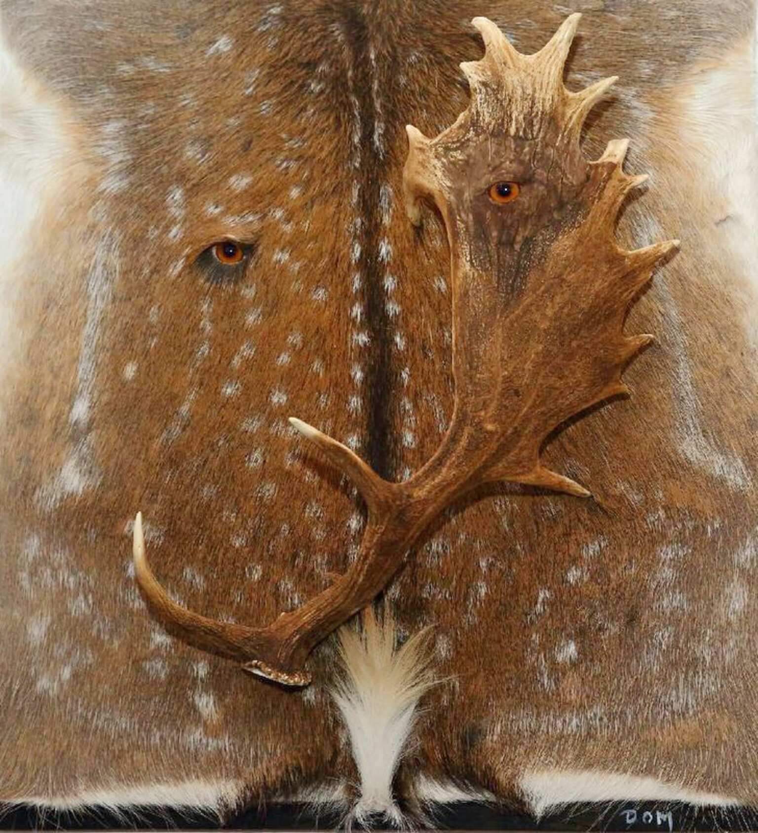 Brisson Taxidermie - Réalisations - Tableaux de Taxid'ARTmie